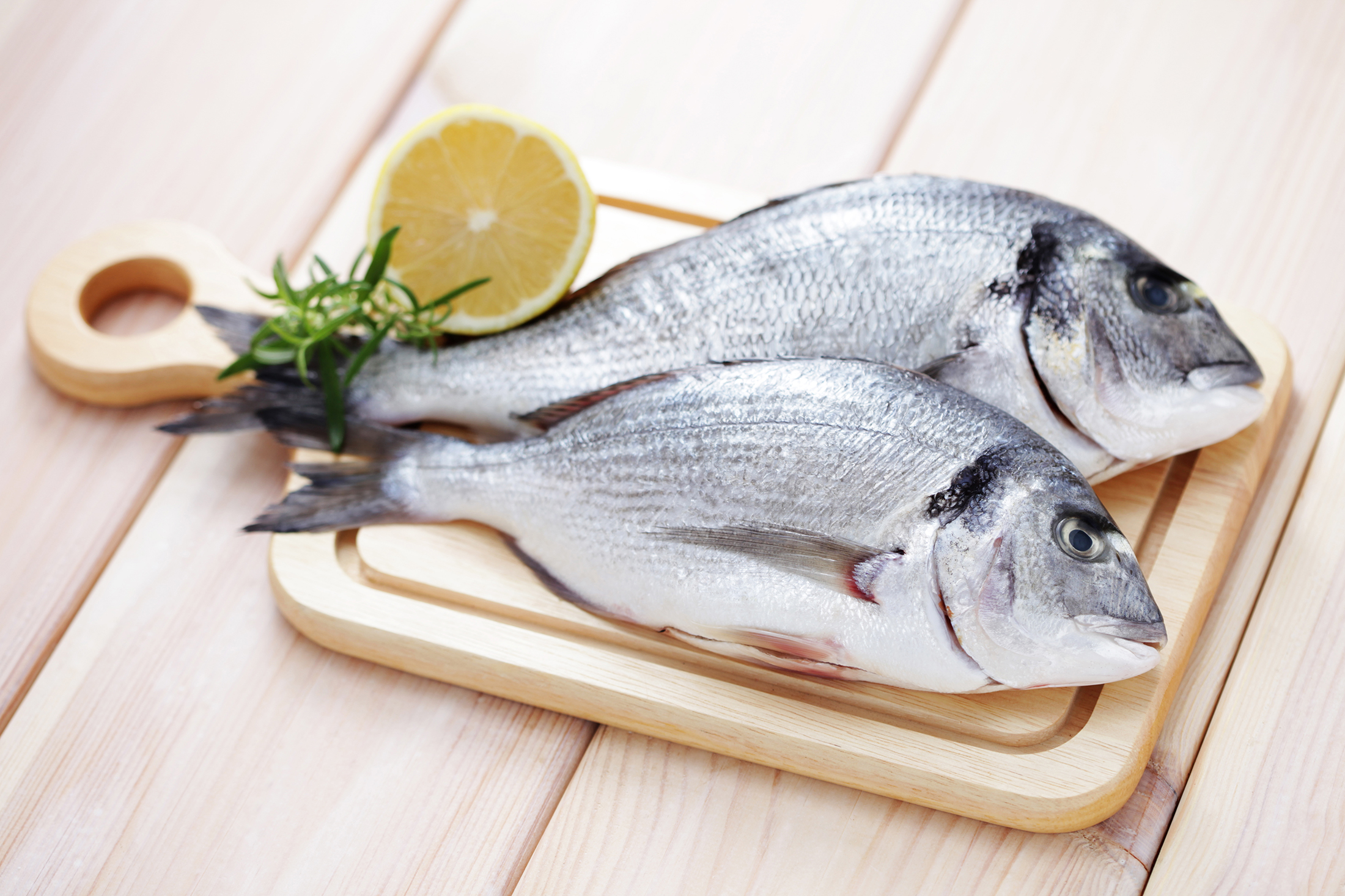Los 6 alimentos marinos más saludables | La Nación